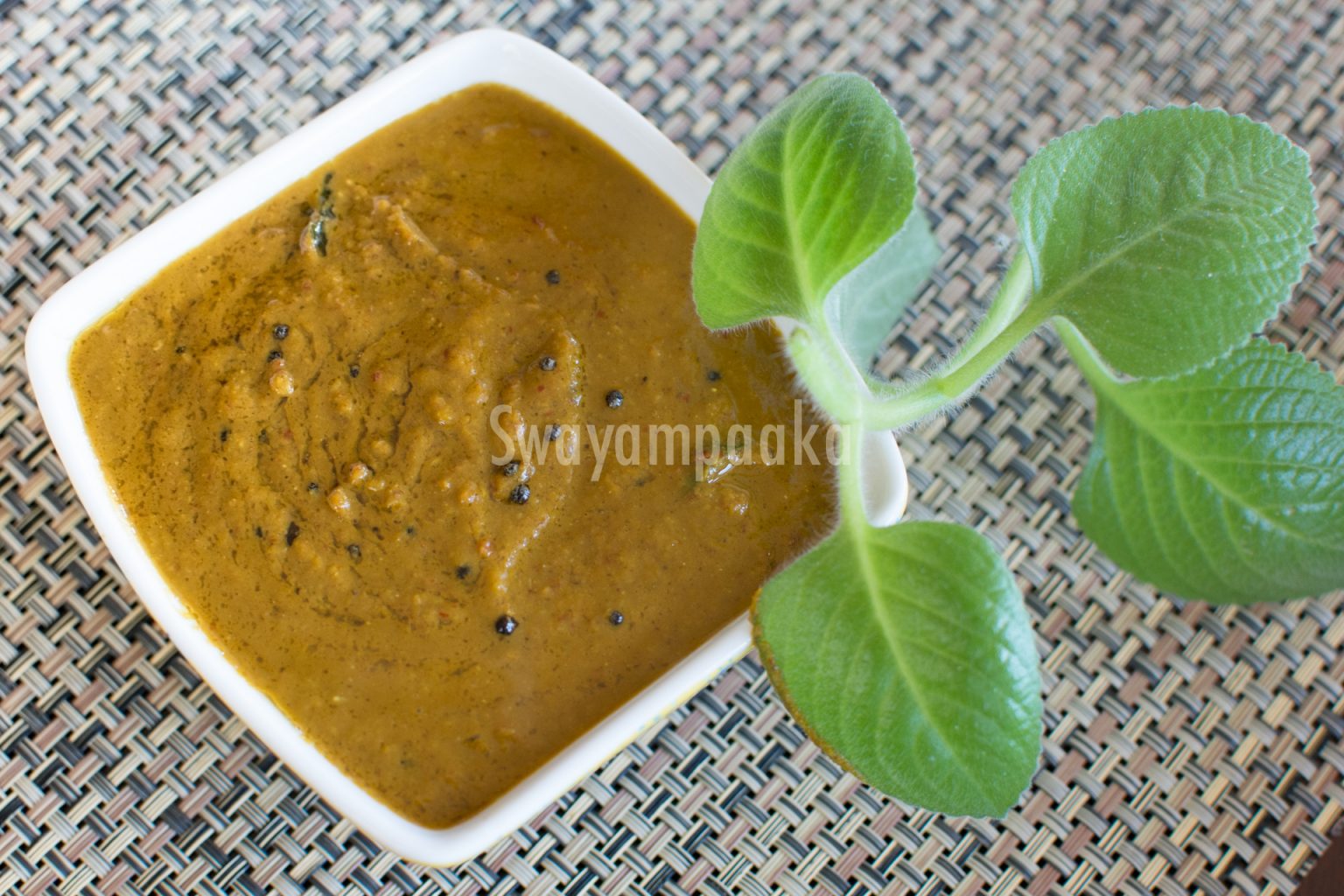 Health benefits of doddapatre | benefits of Indian borage | home ...